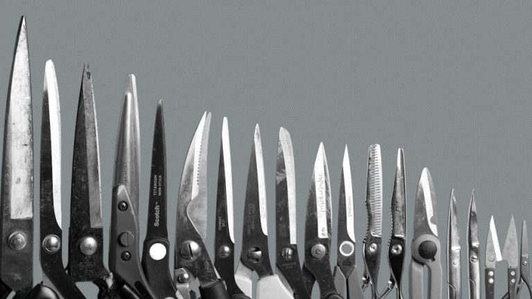 What is the Difference between Kitchen Shears And Scissors: Ultimate ...
