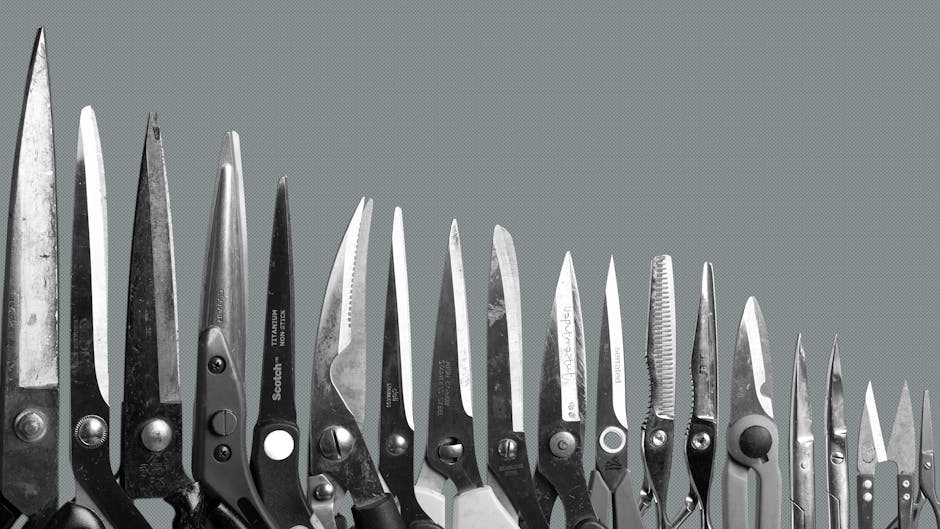 What is the Difference between Kitchen Shears And Scissors: Ultimate ...